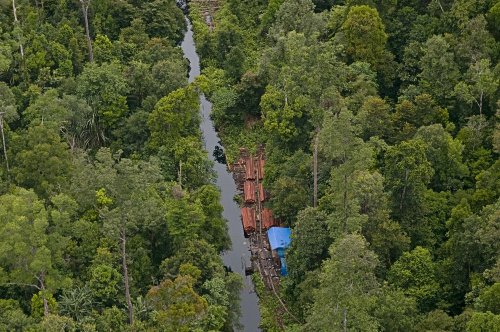 Promoting legal timber trade - Sawmilling in South Africa