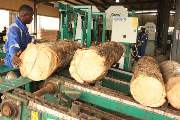 Wood-Mizer unlocks rubberwood opportunities in Liberia - Sawmilling in ...