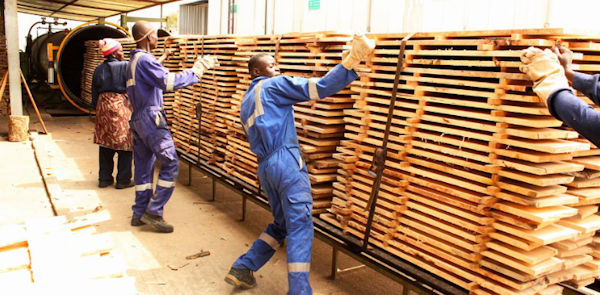 Wood-Mizer unlocks rubberwood opportunities in Liberia - Sawmilling in ...