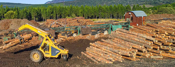 Bell 225F Logger sustains sawmill, production for Rance Timber ...