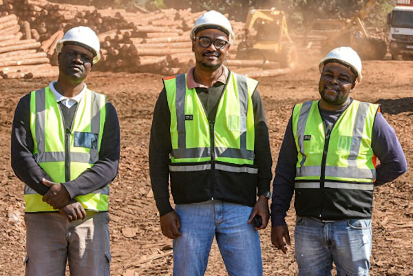 Investment in three loggers pays dividends - Sawmilling in South Africa